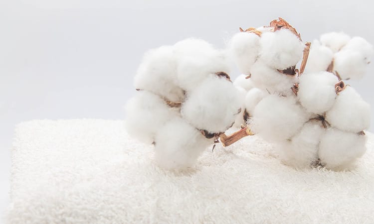 Why long-staple cotton for sewing is the latest trend